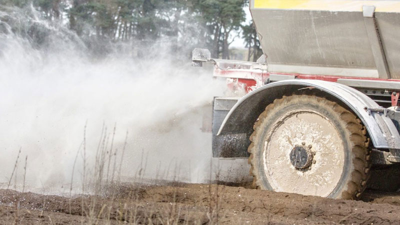 HoranGulf - Business Consultant